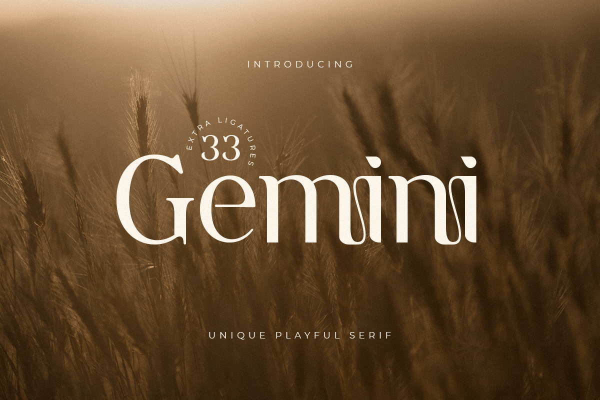 Gemini - Unique Playful Serif – Sensatype Studio