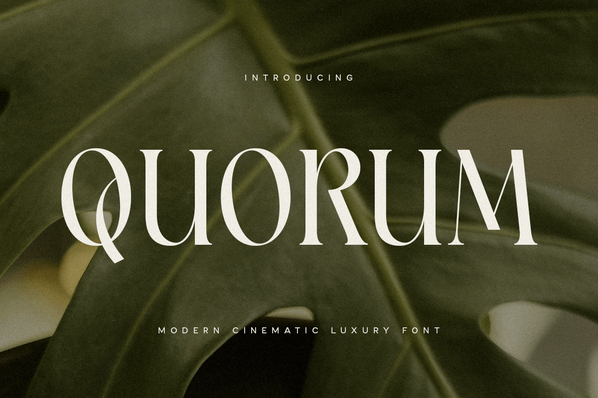 Quorum - Modern Cinematic Luxury Font – Sensatype Studio