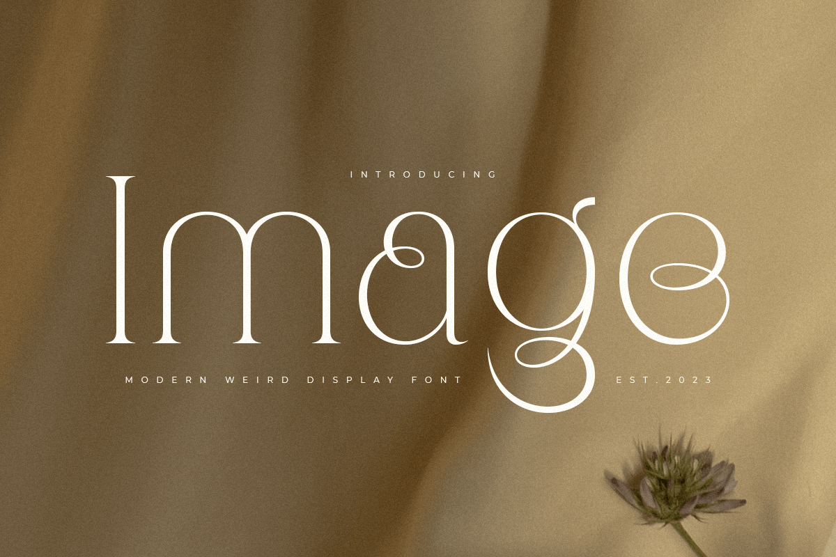 Image - Modern Weird Display Font – Sensatype Studio Image - Modern Weird Display Font – Sensatype Studio