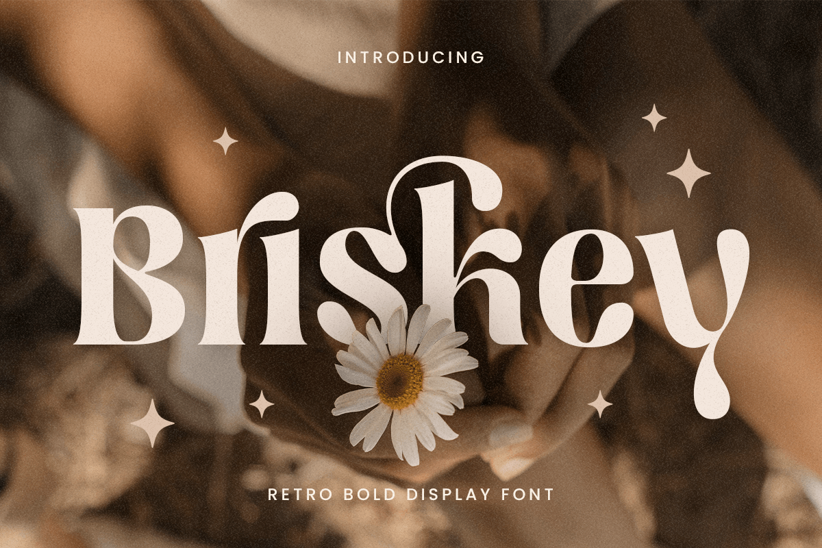 Briskey - Retro Bold Display Font – Sensatype Studio