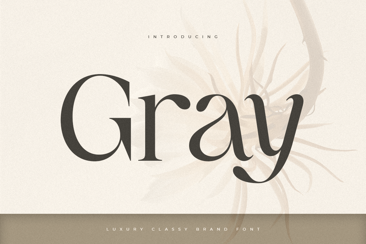 Gray - Luxury Classy Brand Font – Sensatype Studio
