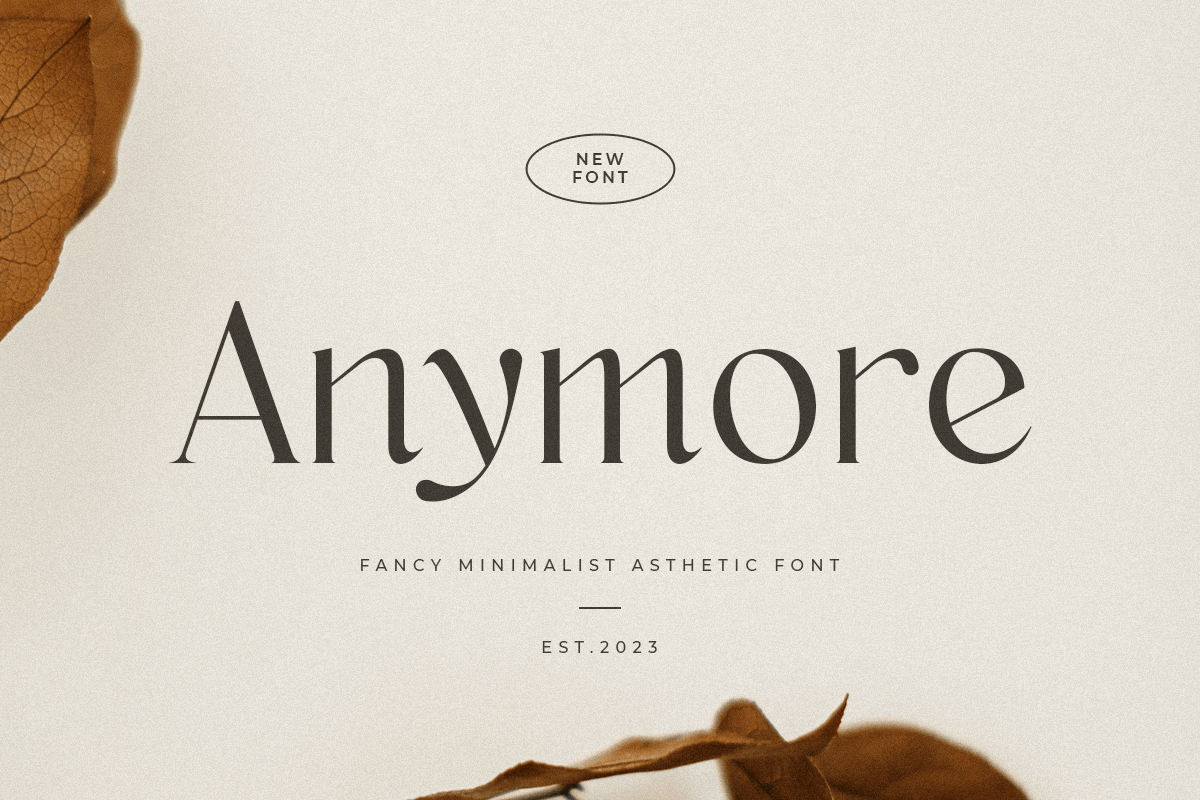 Anymore - Fancy Minimalist Aesthetic Font – Sensatype Studio